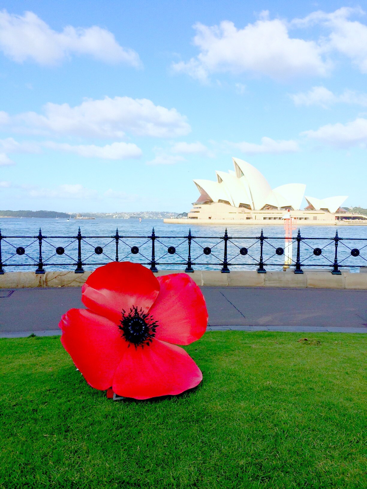 Giant poppy sculpture for Anzac Day filled with 'sands of remembrance ...