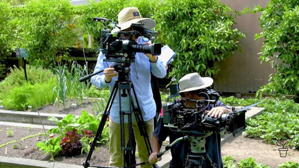 History of Gardening Shows on ABC TV - Gardening Australia