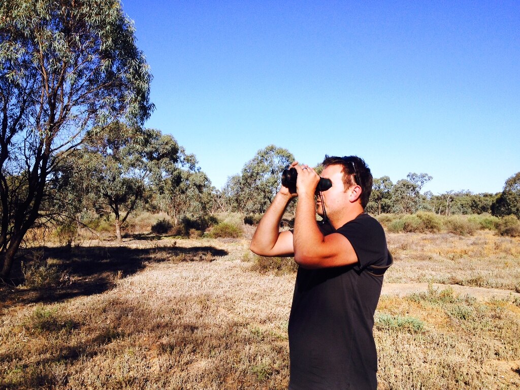 Twitchy weekend ahead for Victorian birdwatchers - ABC News