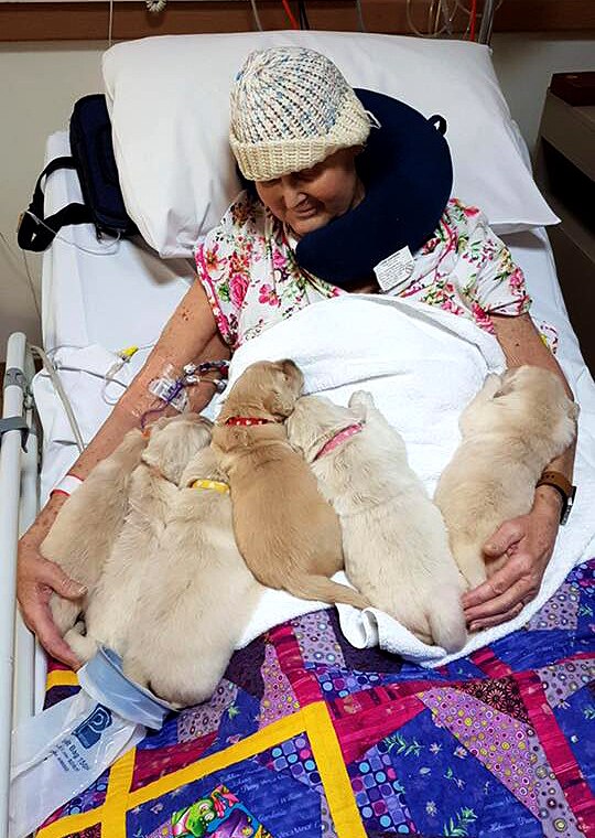 Gillian Rolton, 'loved and respected' Olympic gold medallist ...