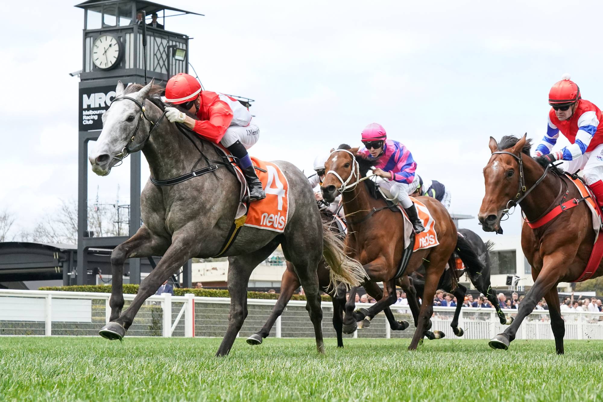 Melbourne Cup 2023 field, horses, form guide and finishing order - ABC News