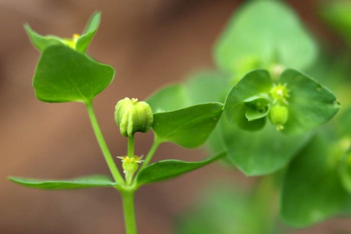 David Craik - ABC listen