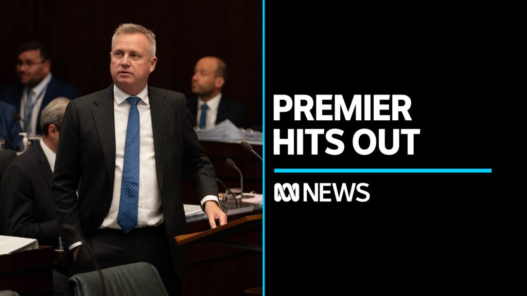 Tasmanian premier hits out at Meg Webb over allegations of misconduct ...