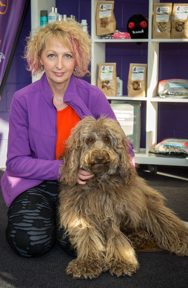 Competitive dogs sniffing out new levels of sport with nose work in ...