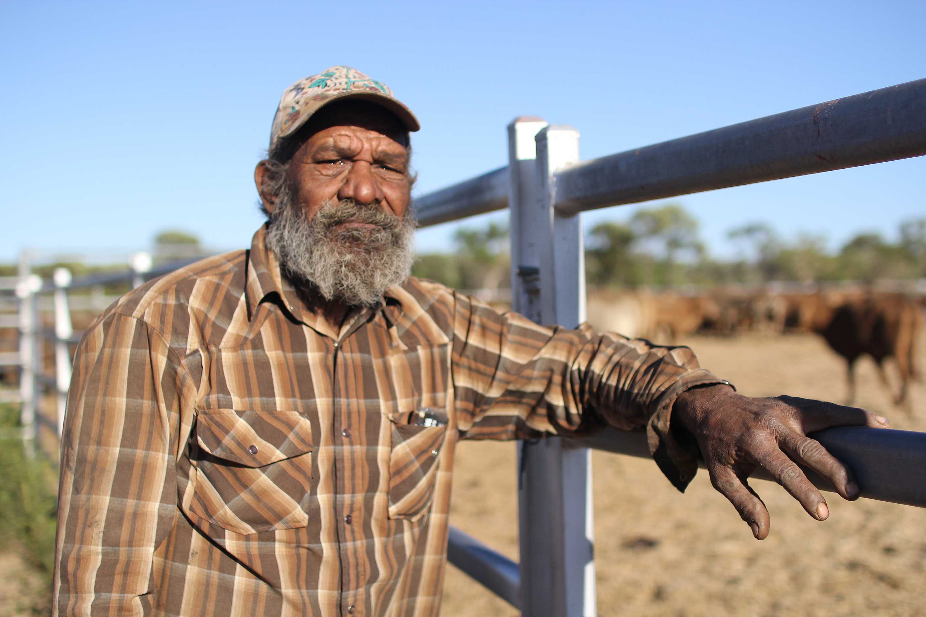 Indigenous stockman looks back on lifetime's work on Northern Territory ...