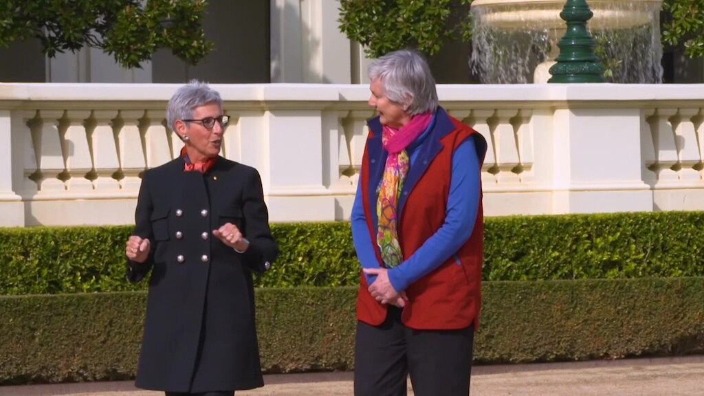 Gardening Australia recap: Spring has sprung so that means flowers ...