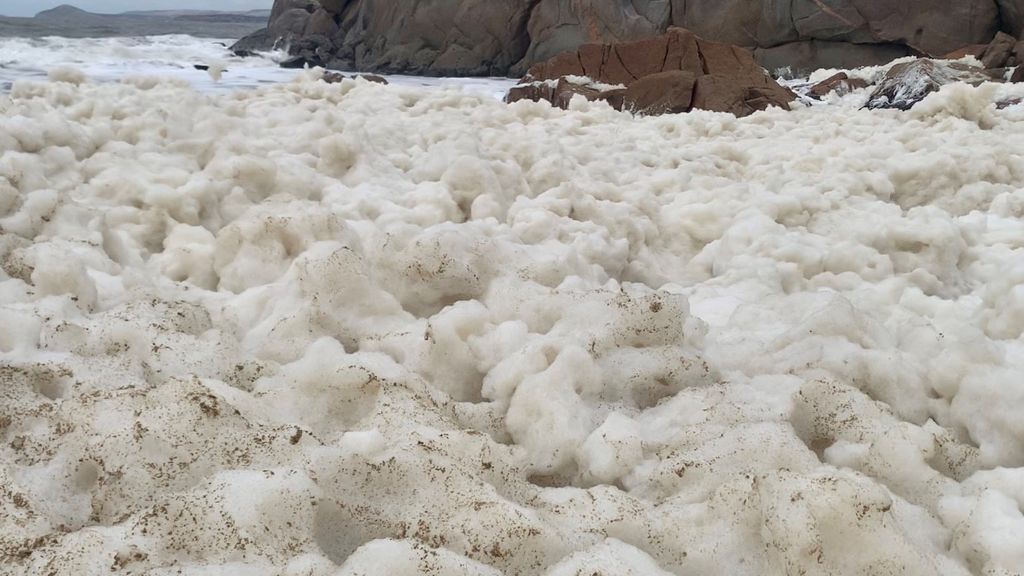 Algae from floodwaters creates spectacular amount of foam at Port ...