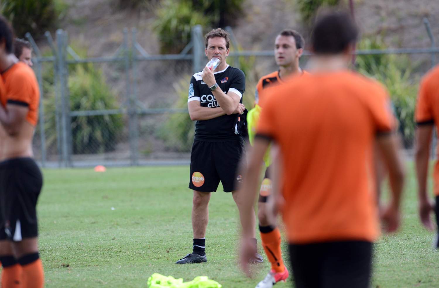 Roar say Rado not sacked - ABC News