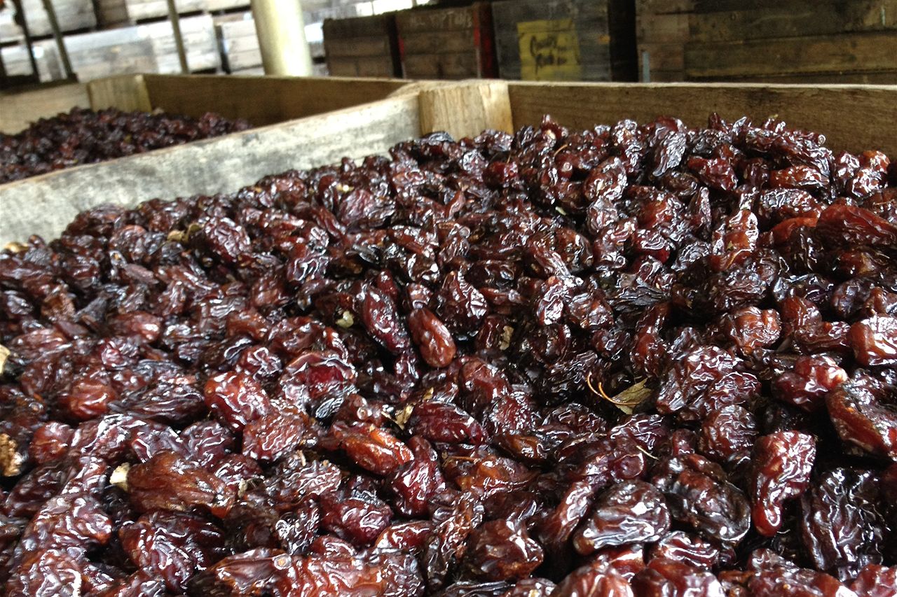 Prune industry struggles as prices shrivel - ABC News