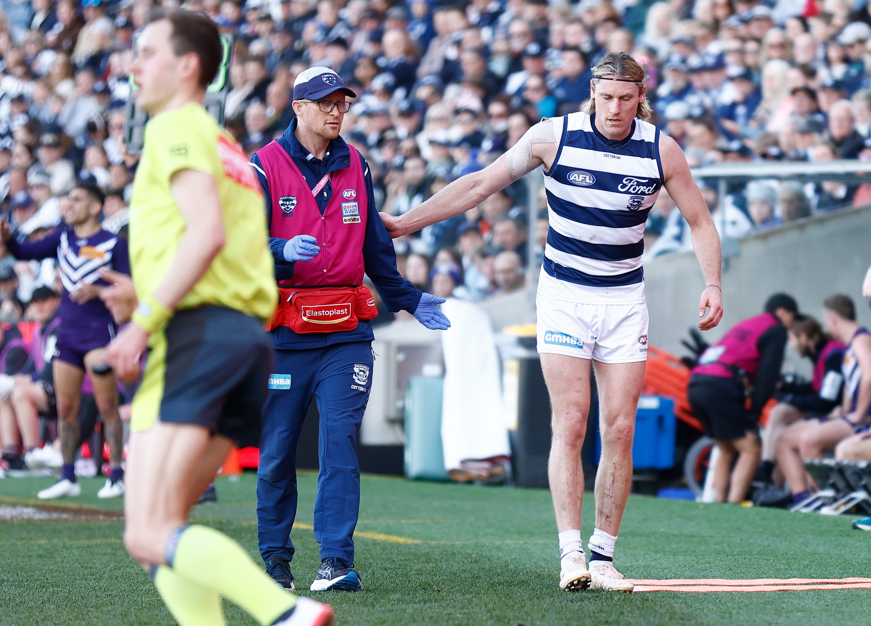 From Carlton and Sydney to Essendon and Port Adelaide — the AFL's form ...