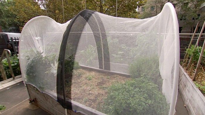 Nifty Netting - Gardening Australia