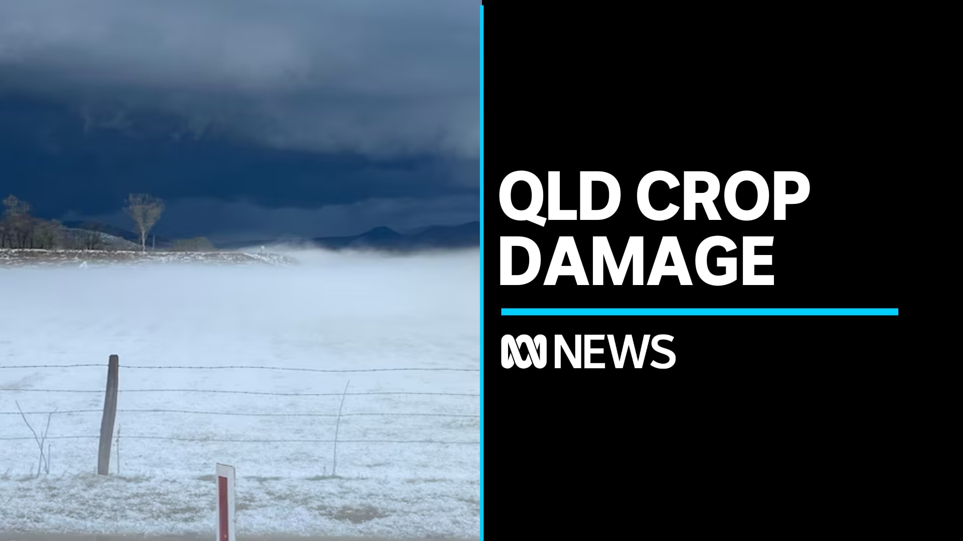 Beetroot and broccolini affected by storm cell causing $30 million ...
