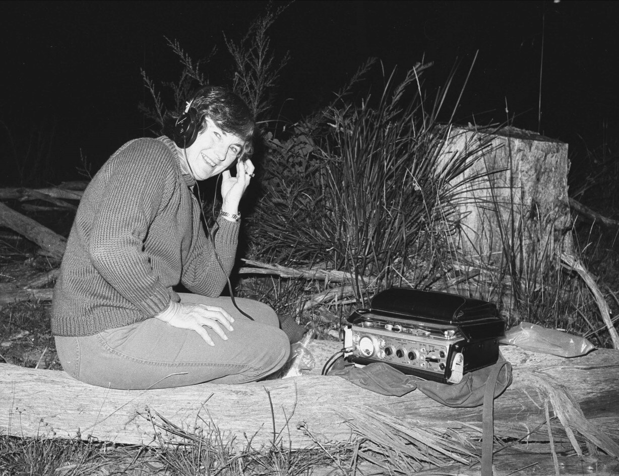 Any louder and that frog will explode [part one] - ABC listen