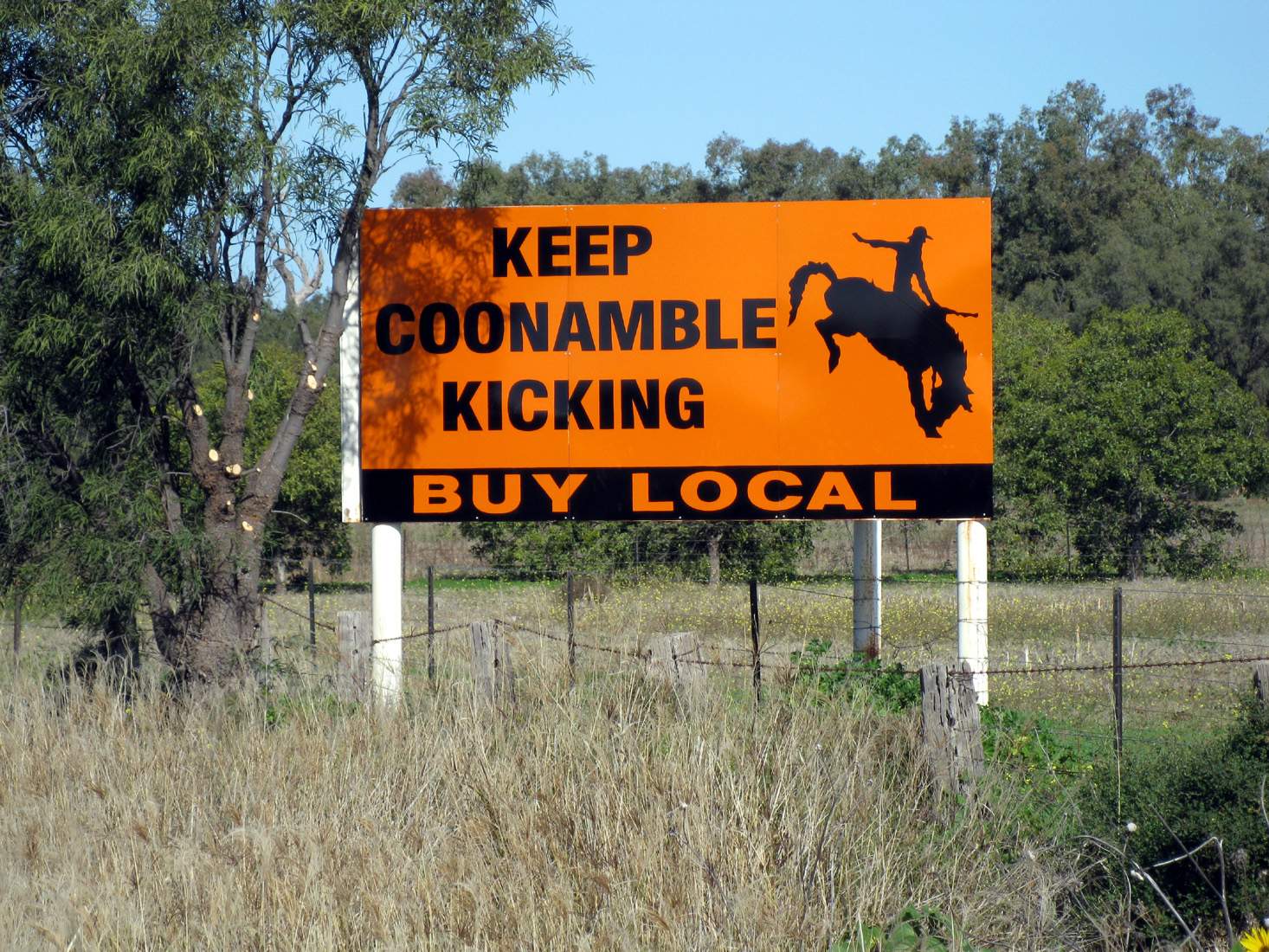 Coonamble beats drought with flying lessons attracting regional dollars ...