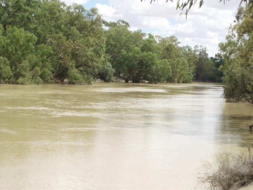 Basin Authority wants to stick to 2,750-gigalitre target - ABC News