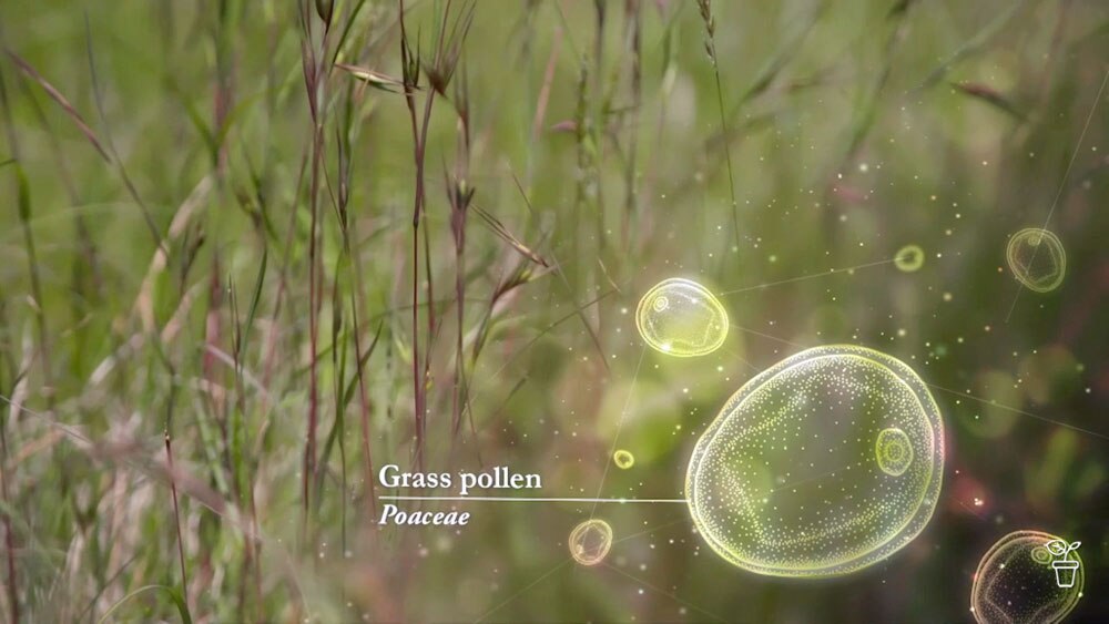 My Garden Path | Professor Michael-Shawn Fletcher - Gardening Australia