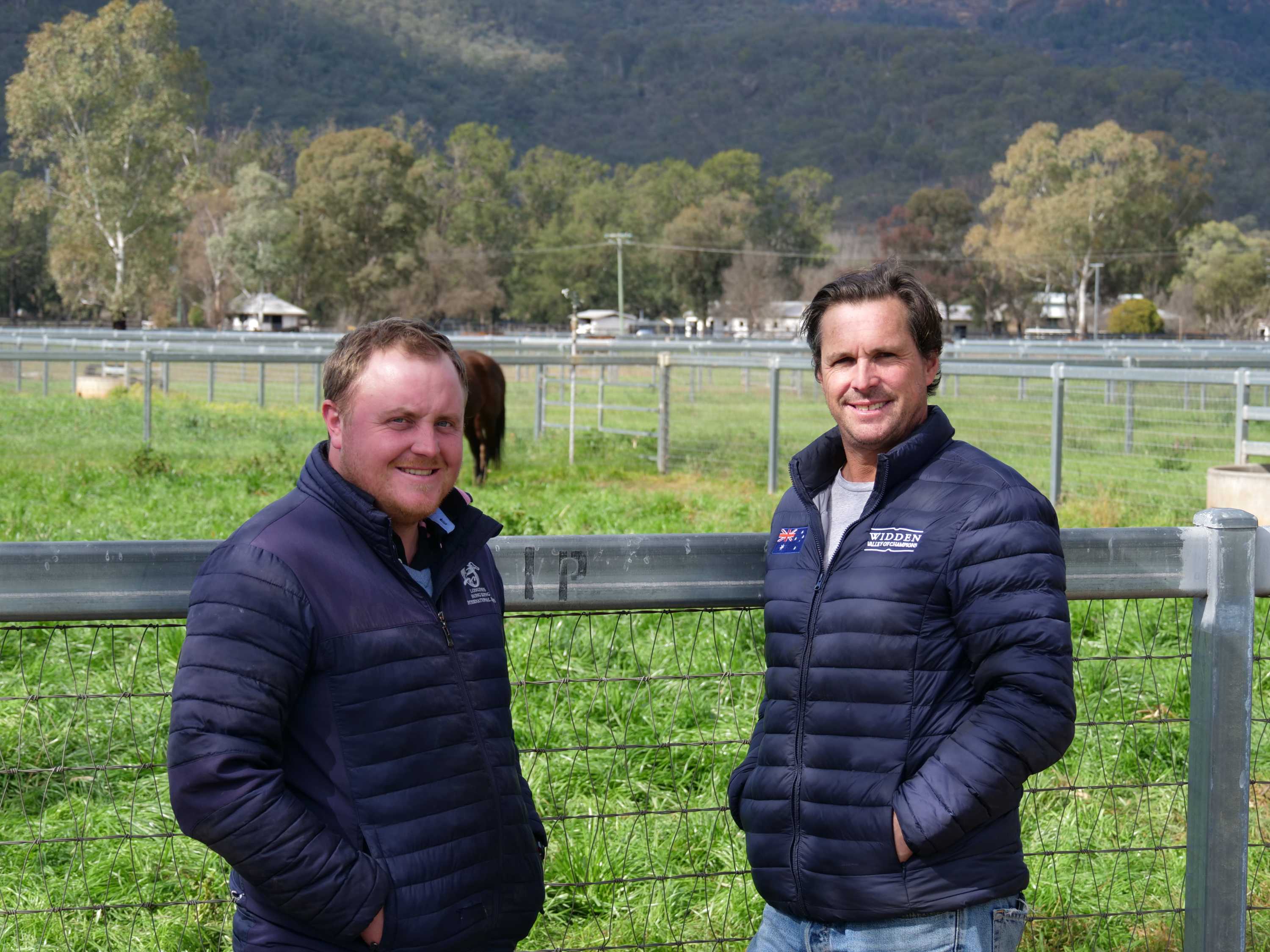 Upper Hunter studs preparing for January's Magic Millions sale - ABC listen