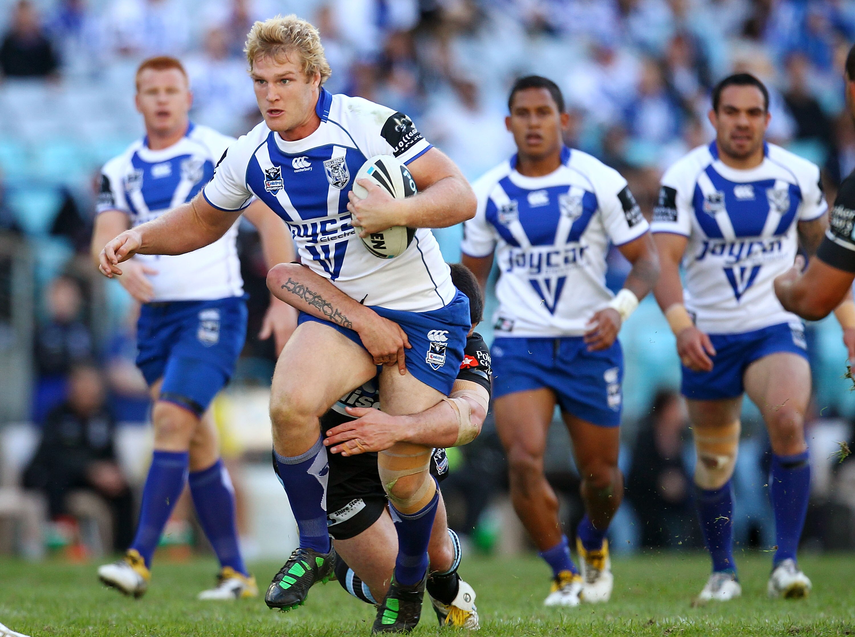 Tolman takes Bulldogs' top gong - ABC News