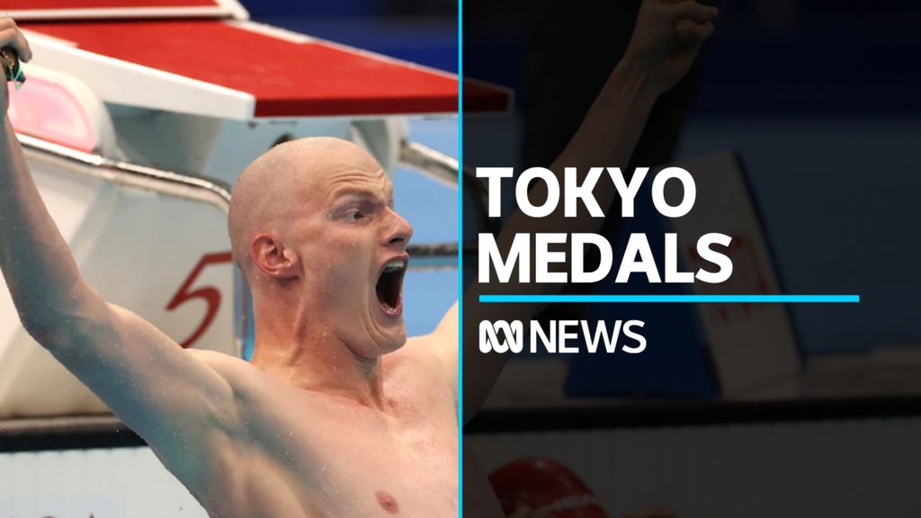 Australia dominates in the Paralympic pool events - ABC News
