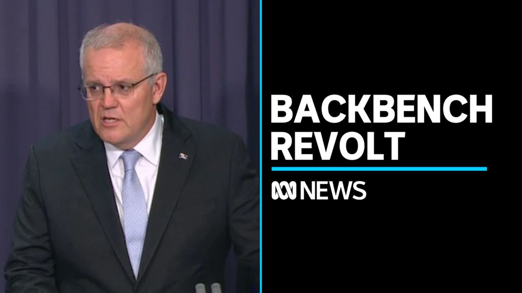 Liberal National Party of Queensland - Topic - ABC News