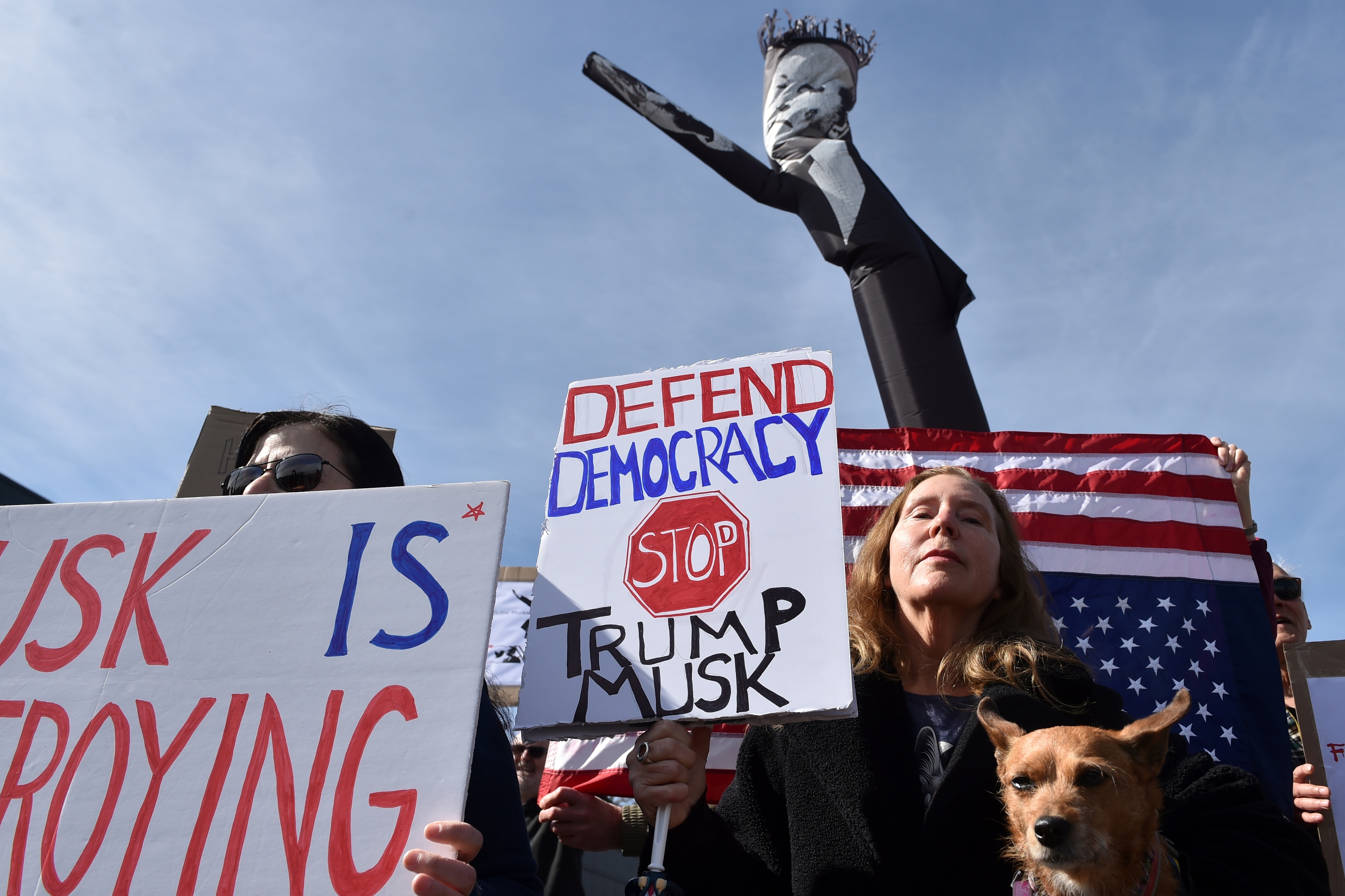 Protesters against Elon Musk's purge of US government swarm Tesla ...