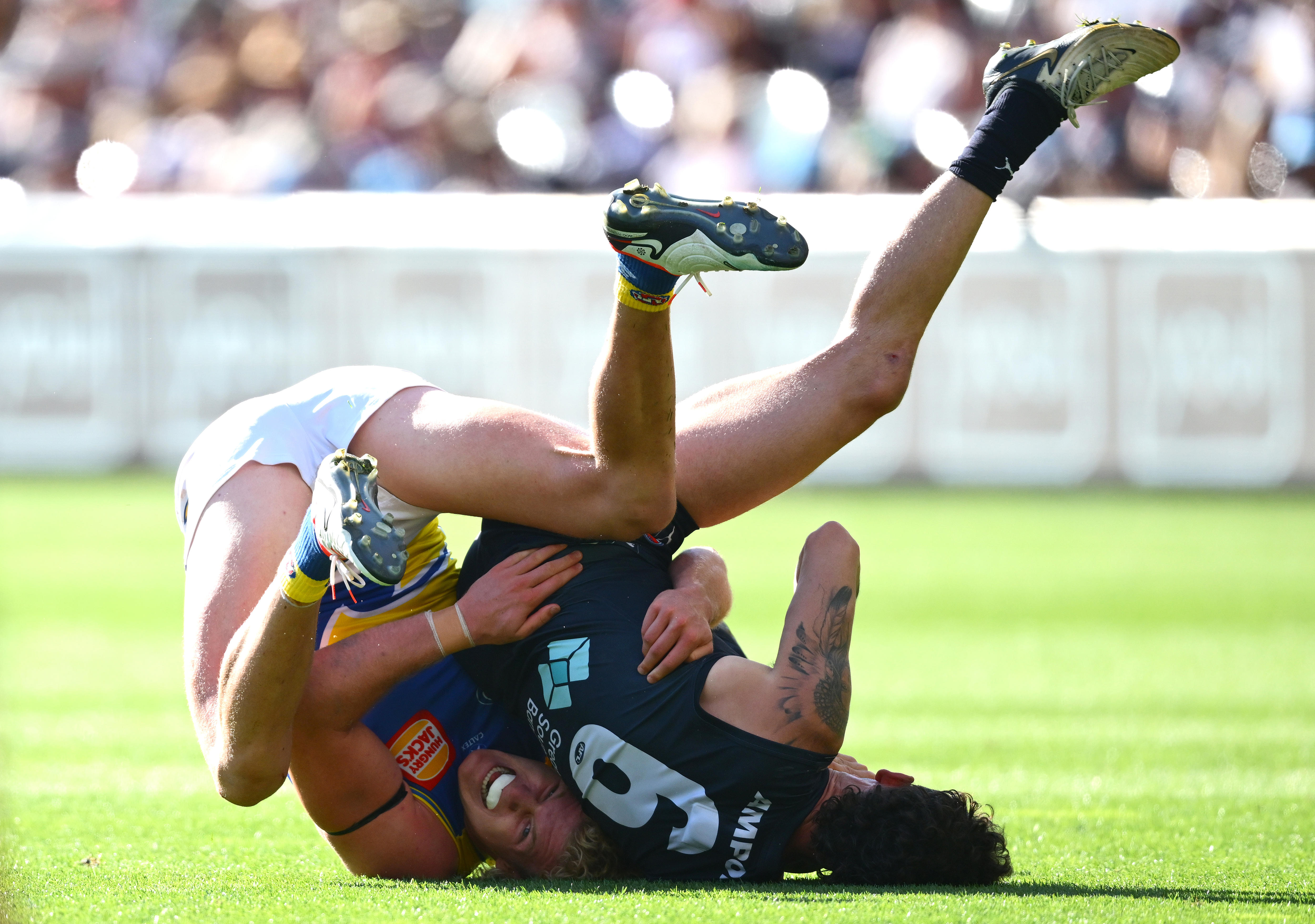 Gather Round's first ever Sicko Saturday treats Adelaide Oval to a day ...