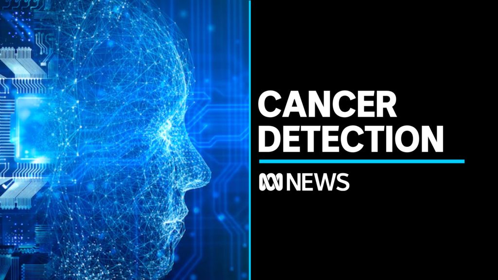 The Australian Transport Safety Bureau (ATSB) Chief Commissioner Angus ...