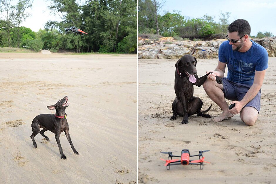Meet Narla, the Darwin rescue dog whose daily exercise involves chasing ...