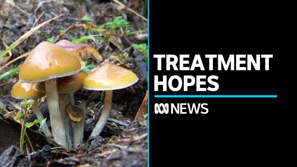 Could psychedelics be used to treat mental health disorders? - ABC News