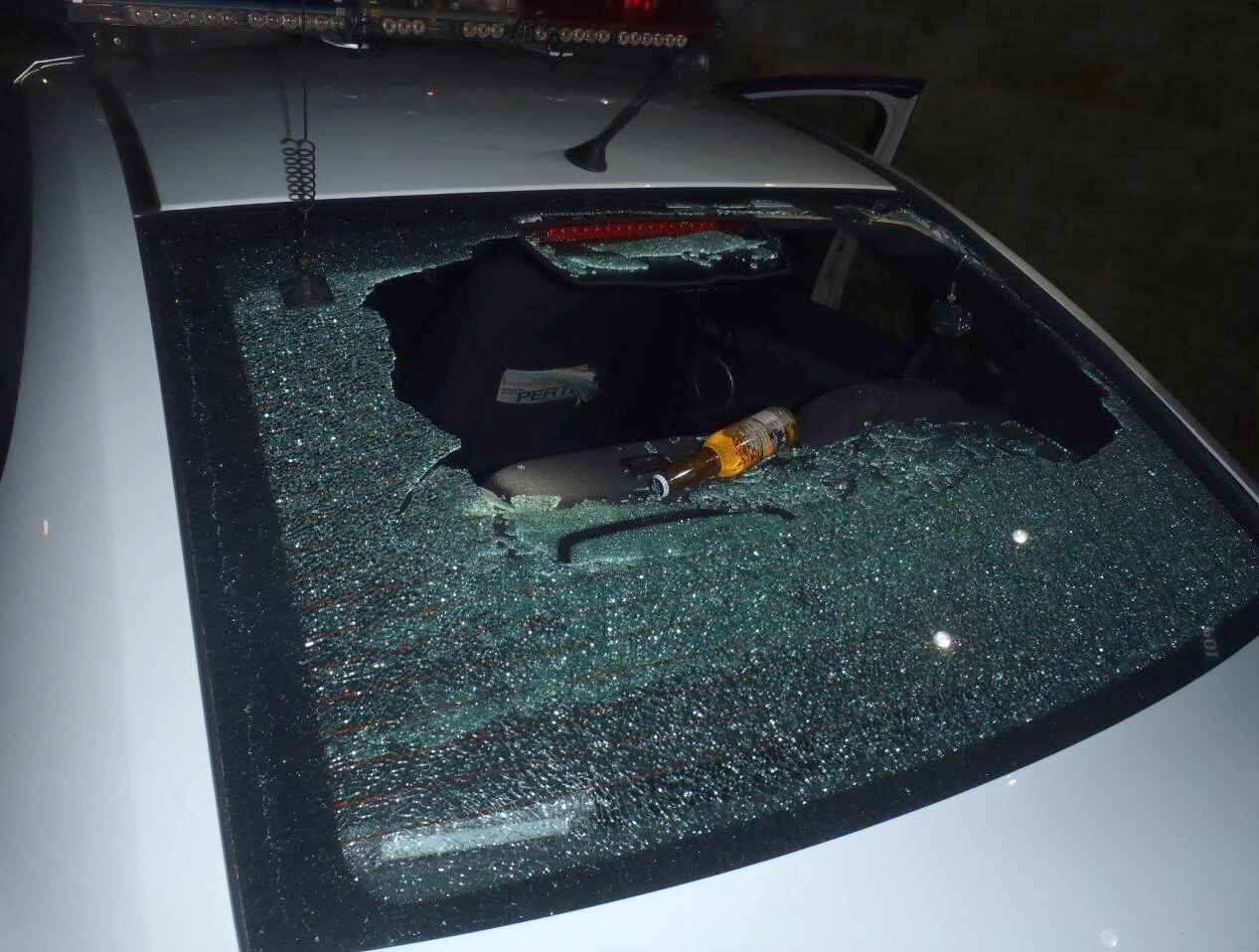 Revellers smash police car window after party spirals out of control in ...