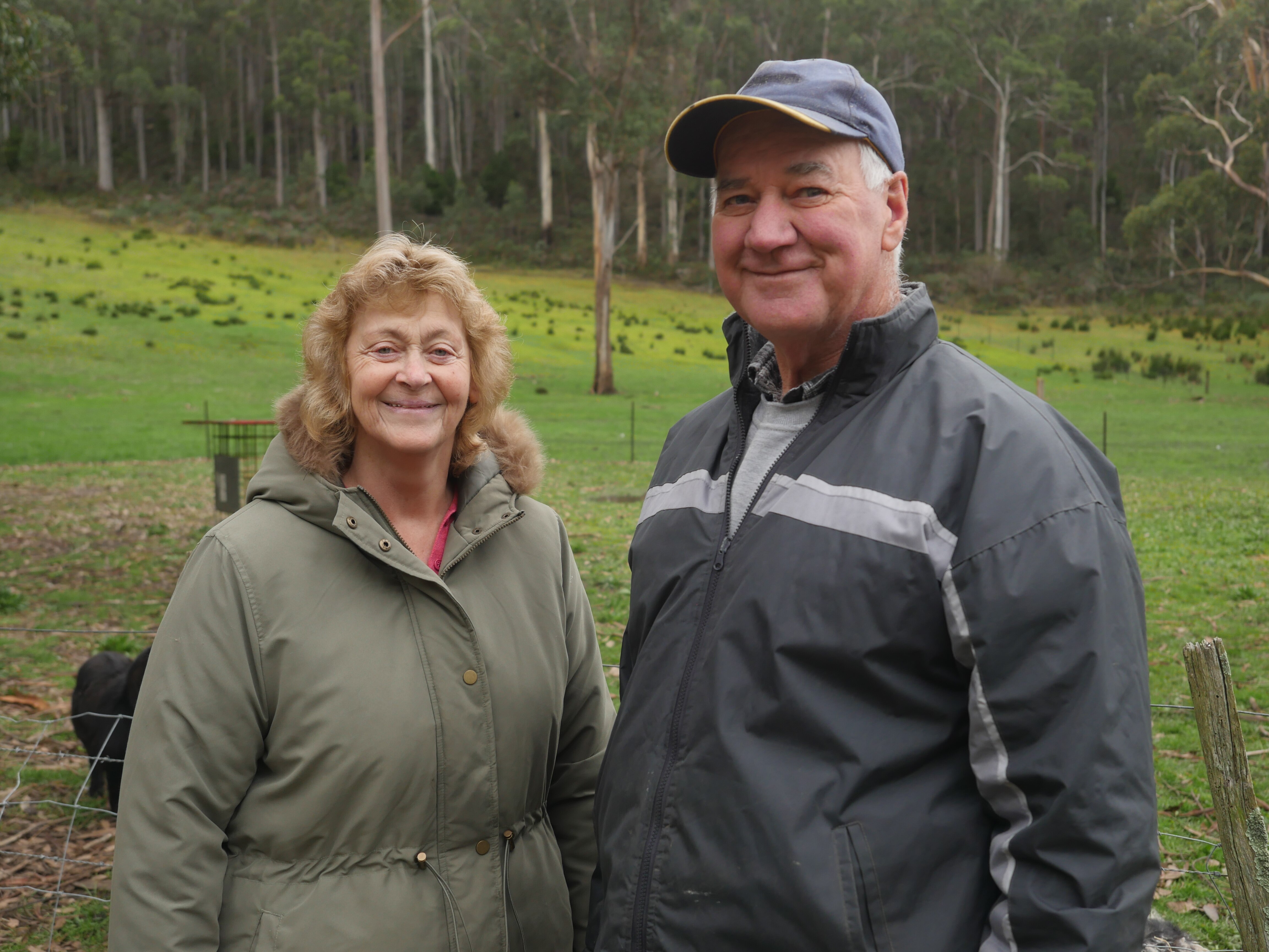 Thirty years of breeding pays off as miniature farm on Bruny Island ...