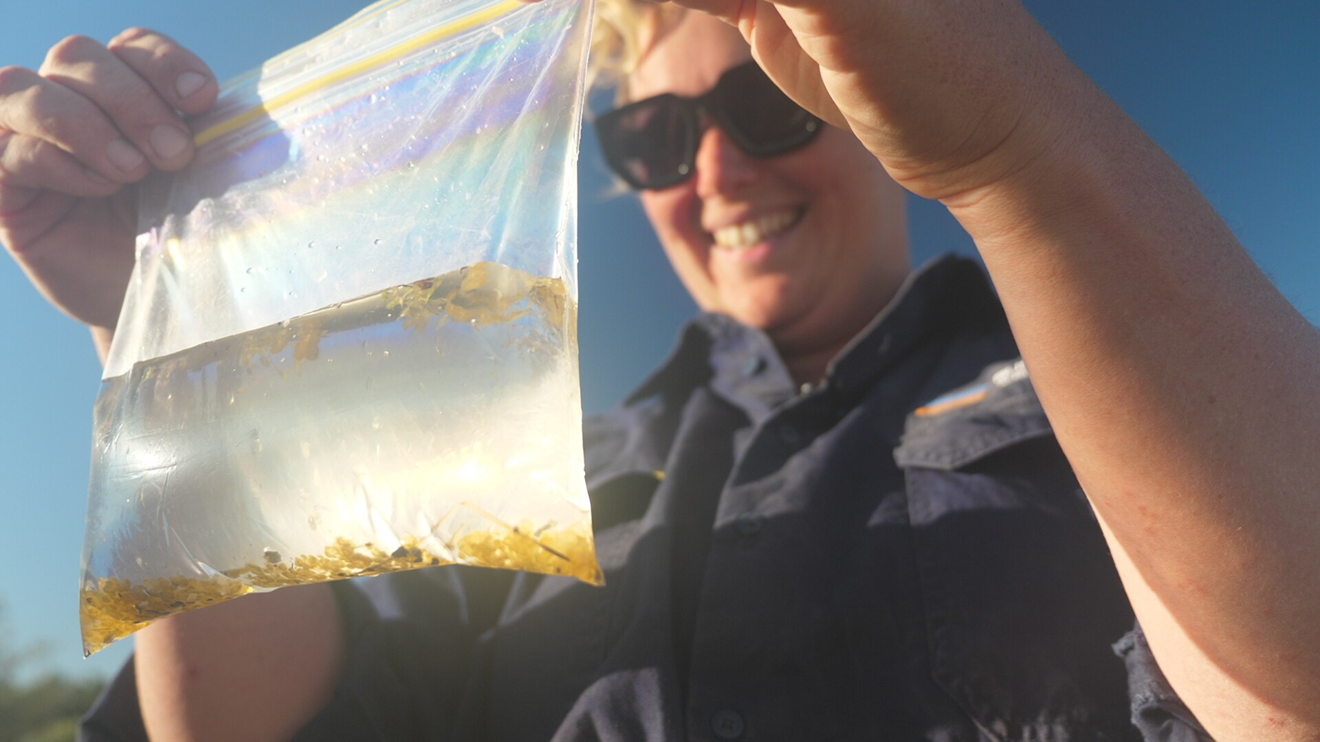 Newly protected Edgbaston Reserve in Queensland home to 37 species ...