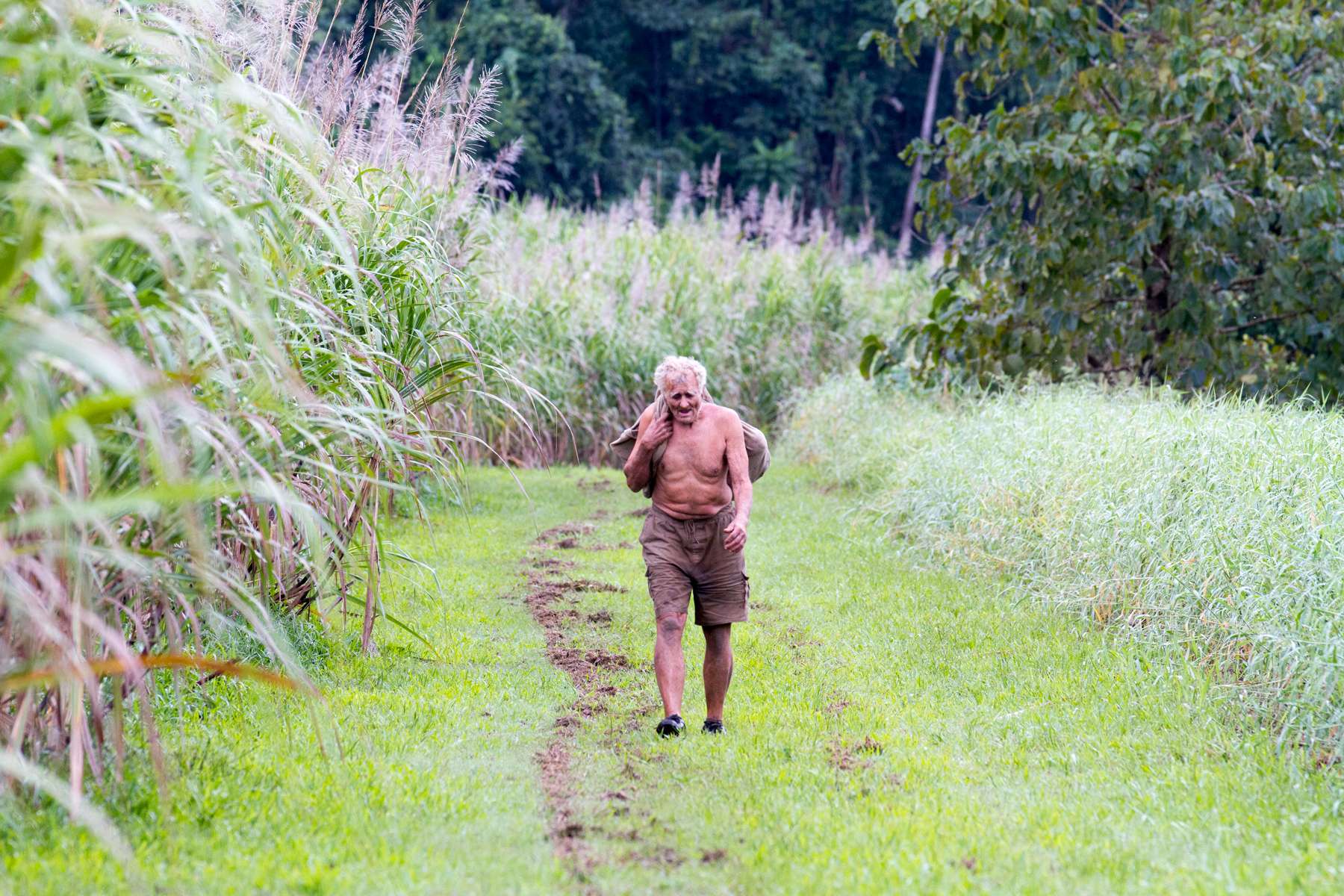On the trail of Michael 'Tarzan' Fomenko - ABC News