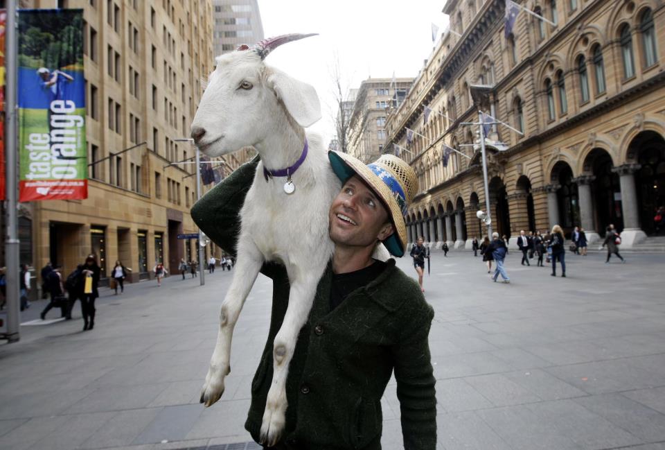 Comedian hopes Gary the Goat movie will raise funds to have his furry ...