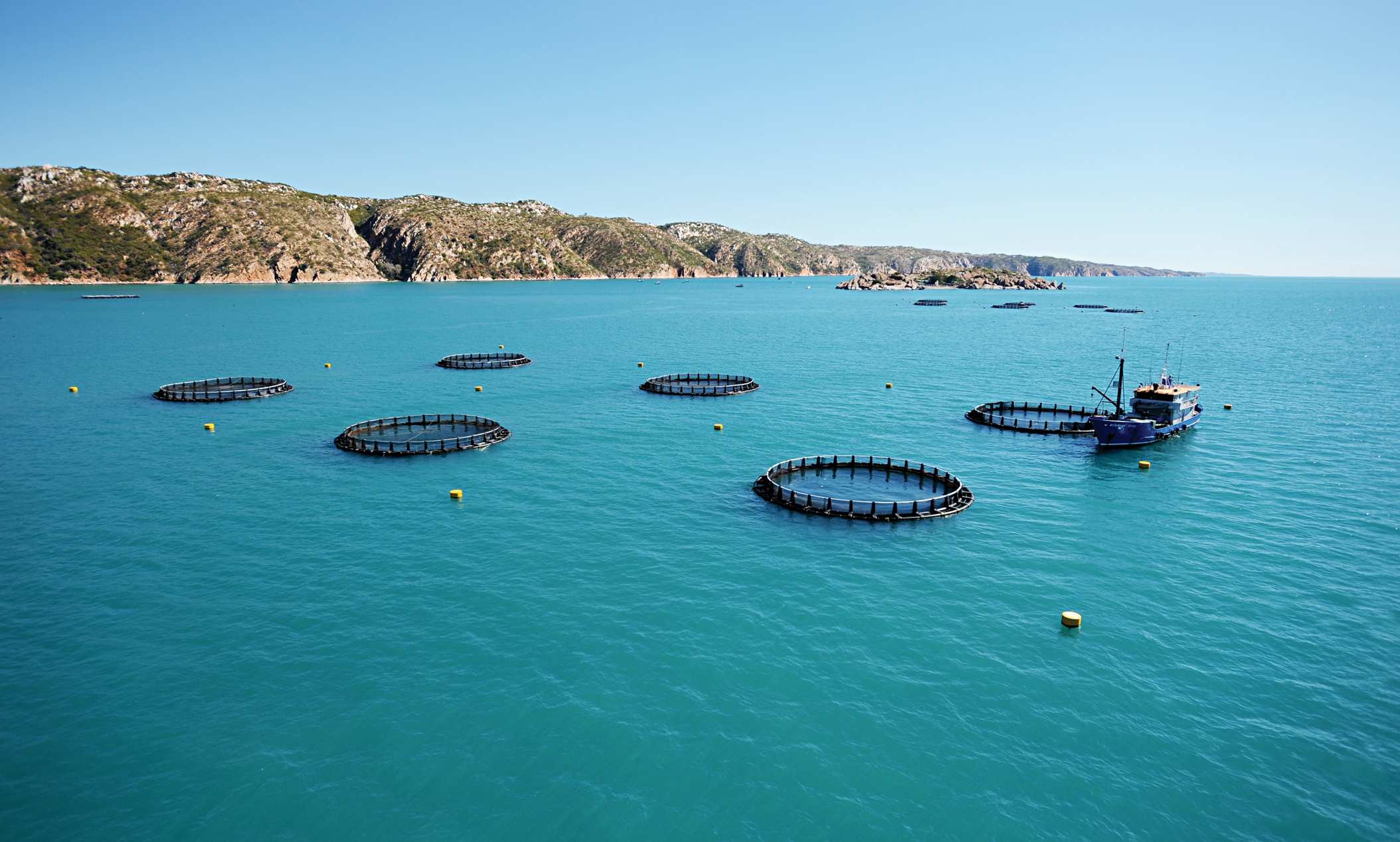 Traditional owners disappointed by scaling back of proposed fin fish ...