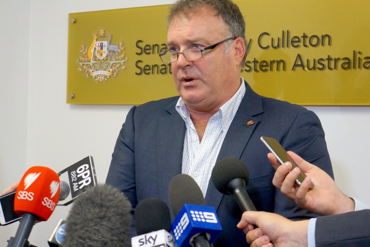 Former One Nation senator Rod Culleton denies giving false information ...
