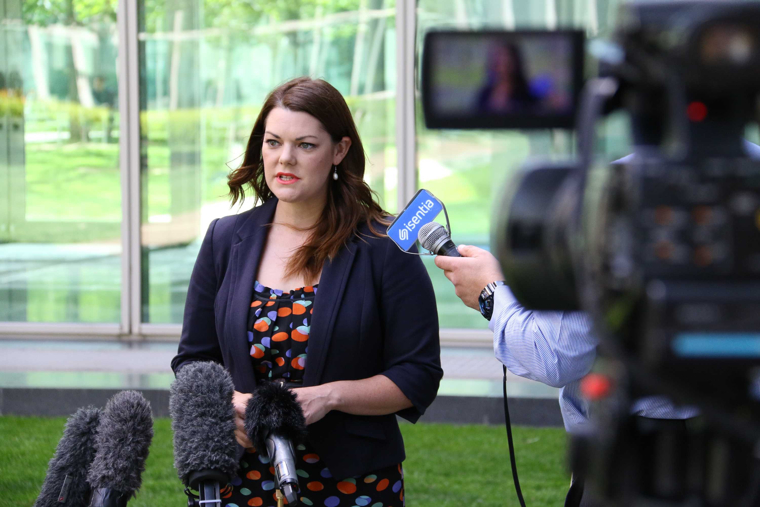 Hanson-Young vows to fight back against sexist slurs - ABC listen