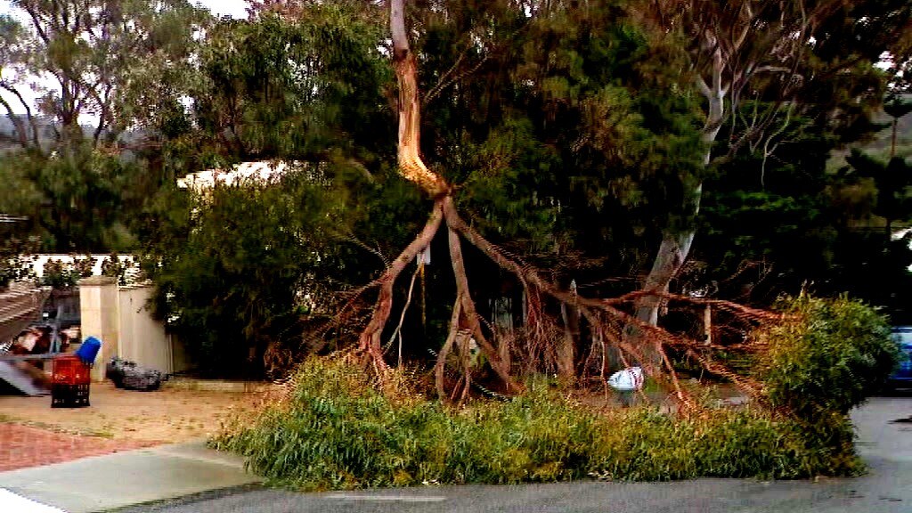 WA weather delivers winter deluge as Perth Hills cop almost 50mm, with ...