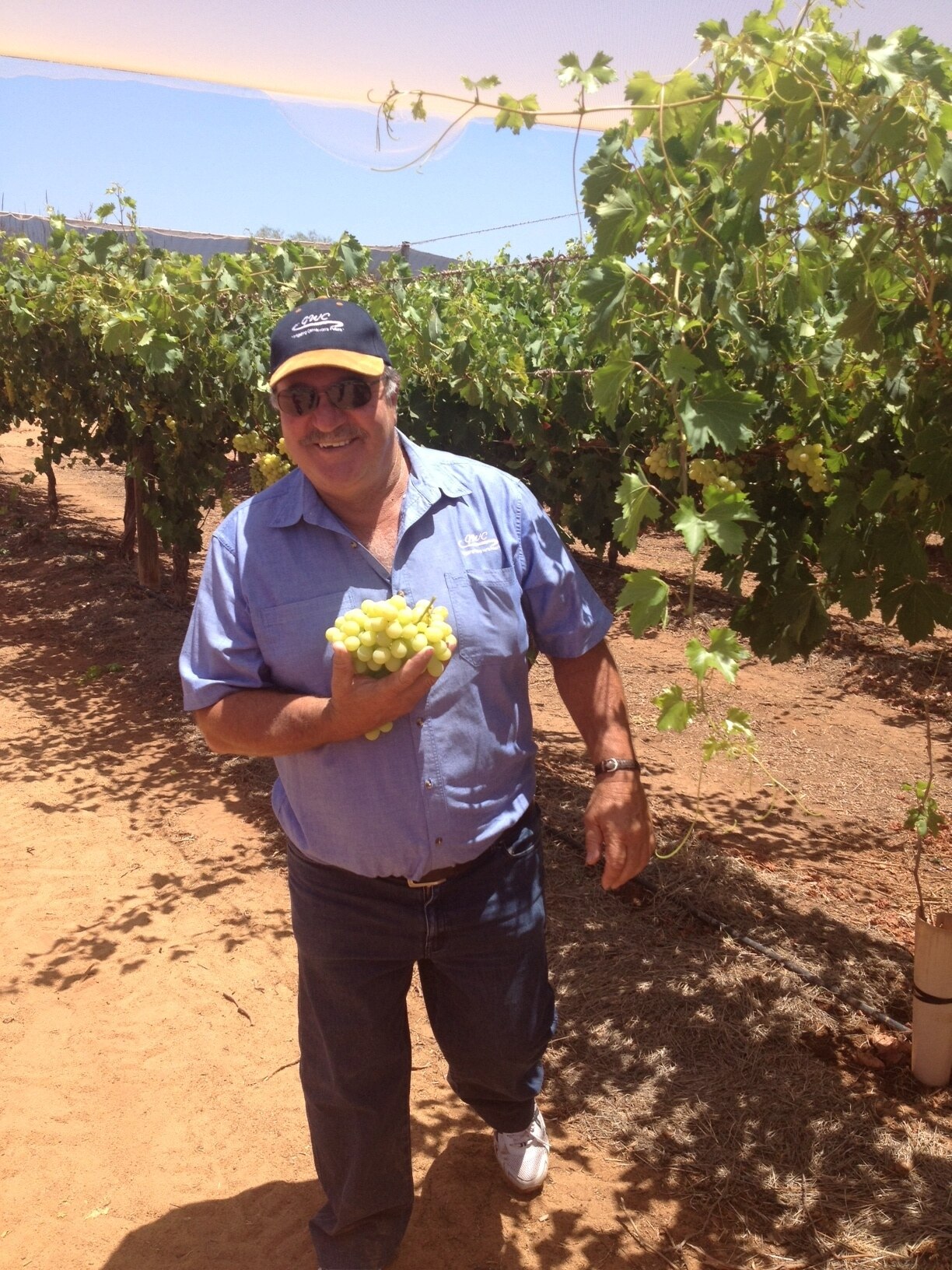 Relief water released to quench Carnarvon crops - ABC News
