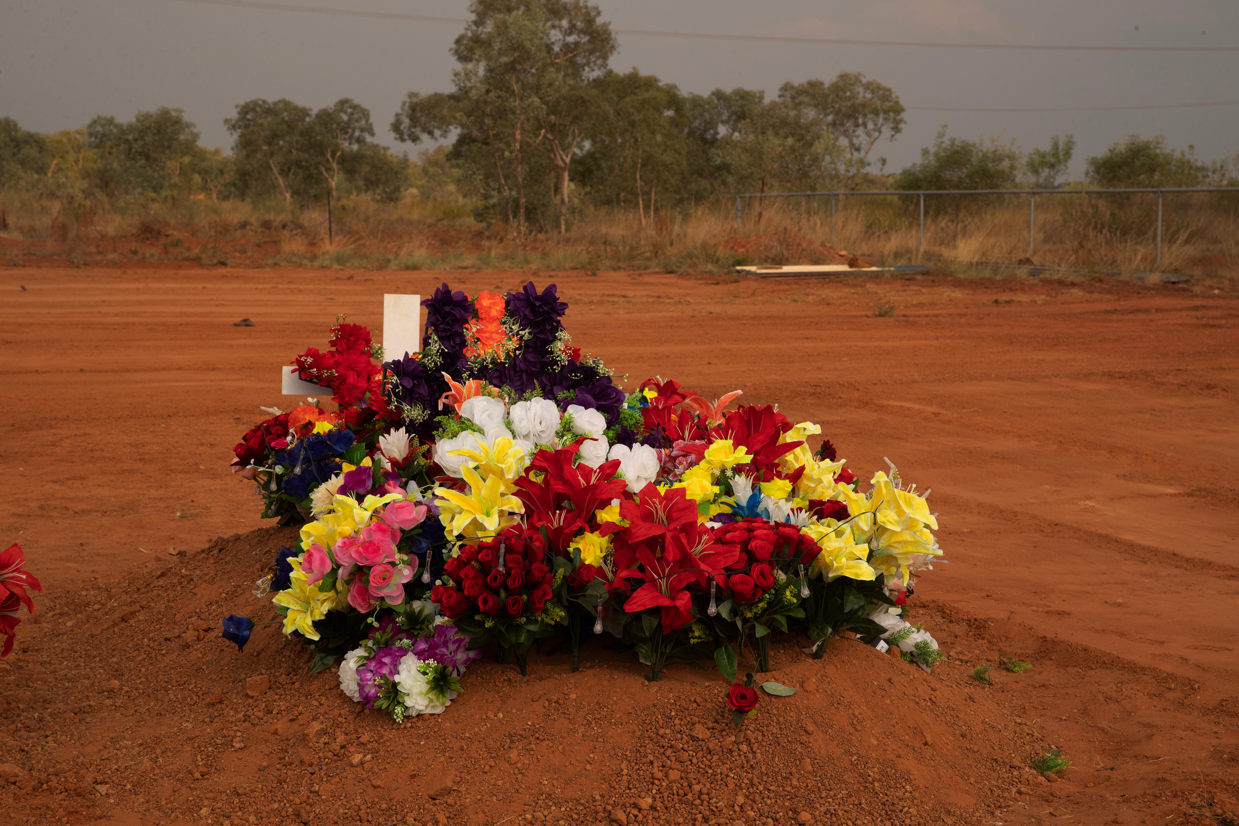 Coming home to Country - ABC News