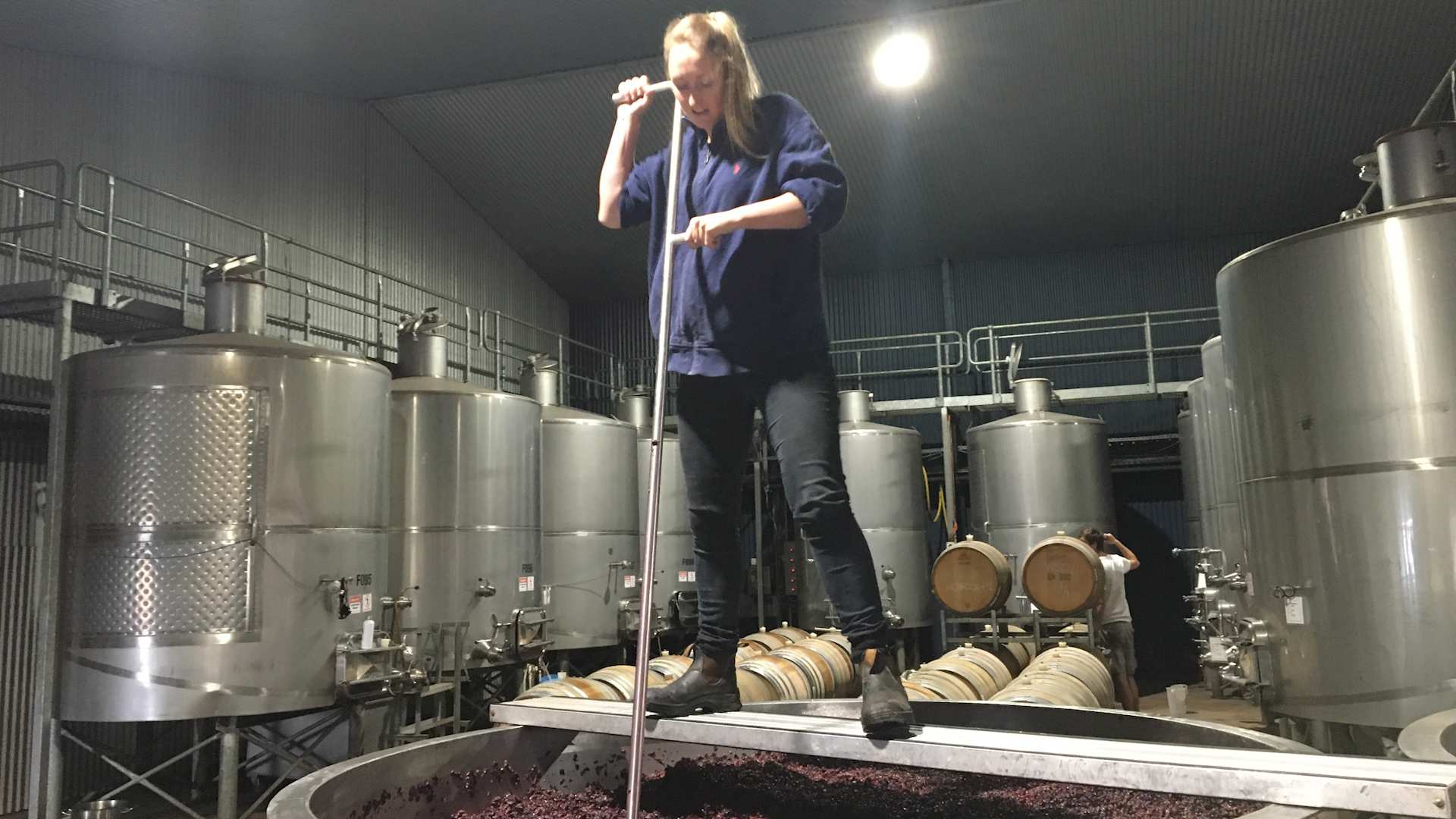 Making wine is hard work - ABC News