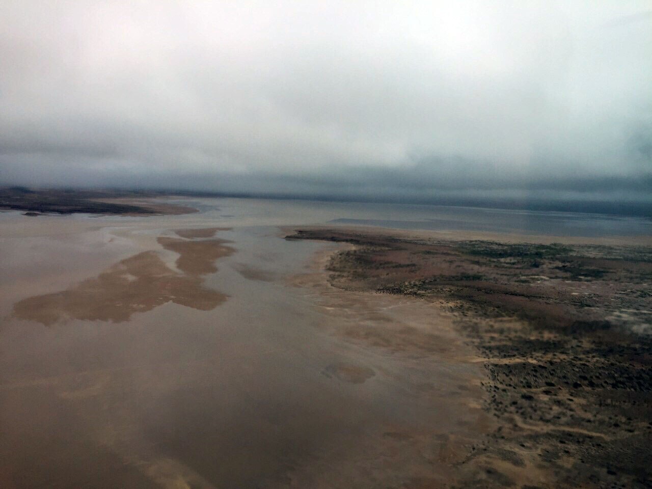 Flooding strands tourists in South Australia's outback - ABC News