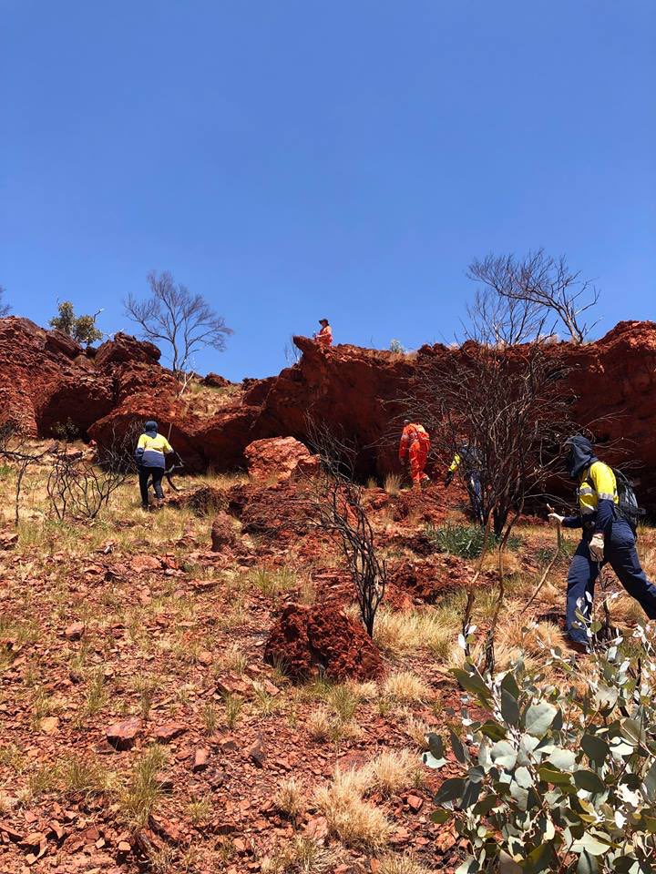 Four-day land and air search fails to find woman missing in remote ...