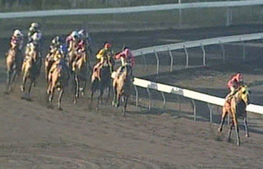 Club Liquid blitzes Darwin Cup field - ABC News