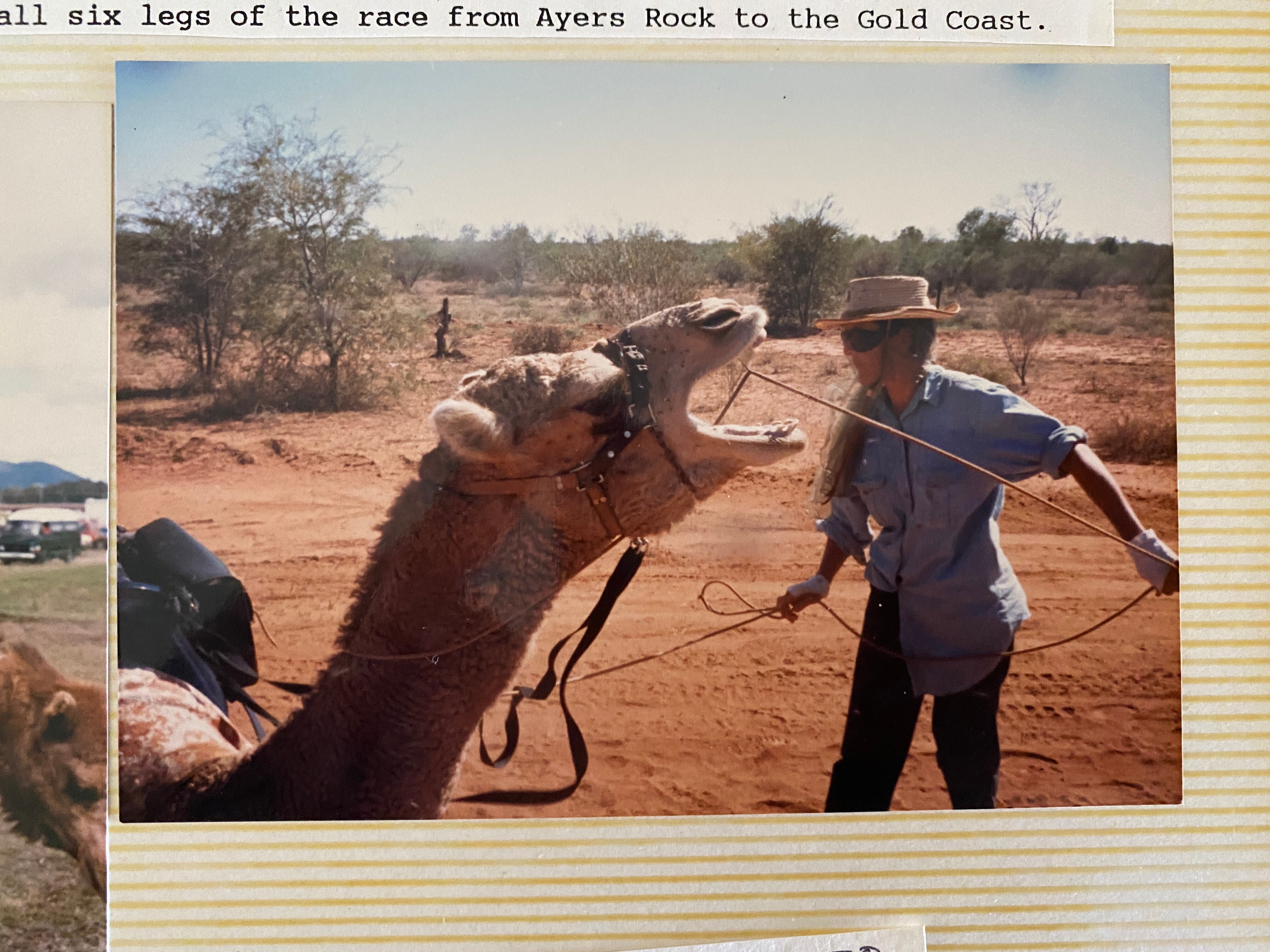 The Great Australian Camel Race promised adventure — but some nearly ...