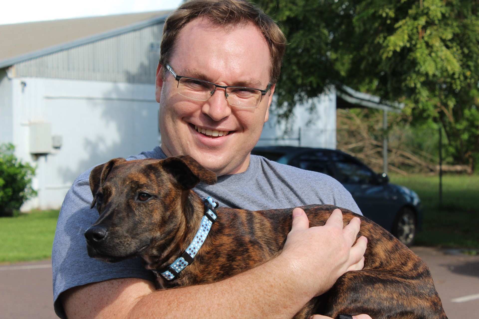 Owner of eight malnourished Darwin pups ordered to pay $18,000 vet bill ...