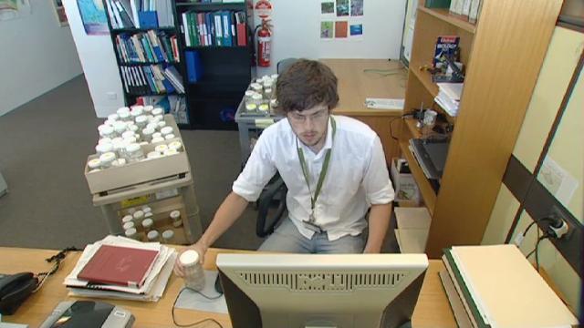 Ace Day Jobs: What is taxonomy? - ABC Education