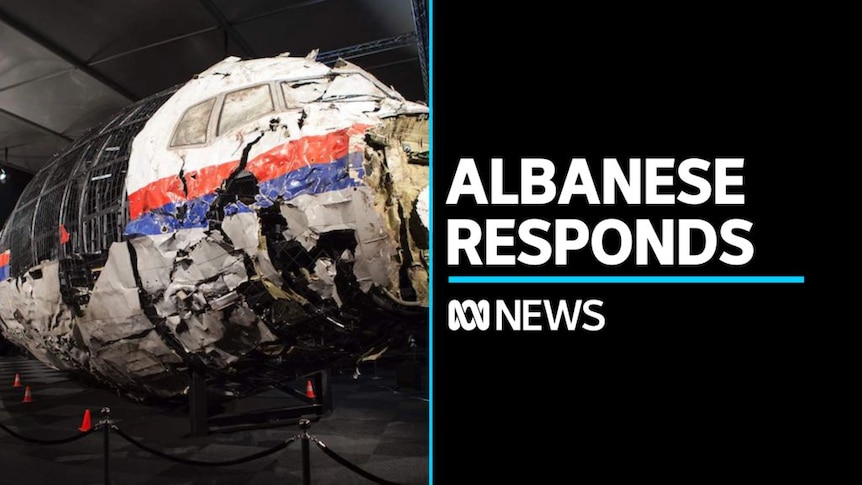 Albanese labels Vladimir Putin 'reprehensible' - ABC News Albanese labels Vladimir Putin 'reprehensible' - ABC News