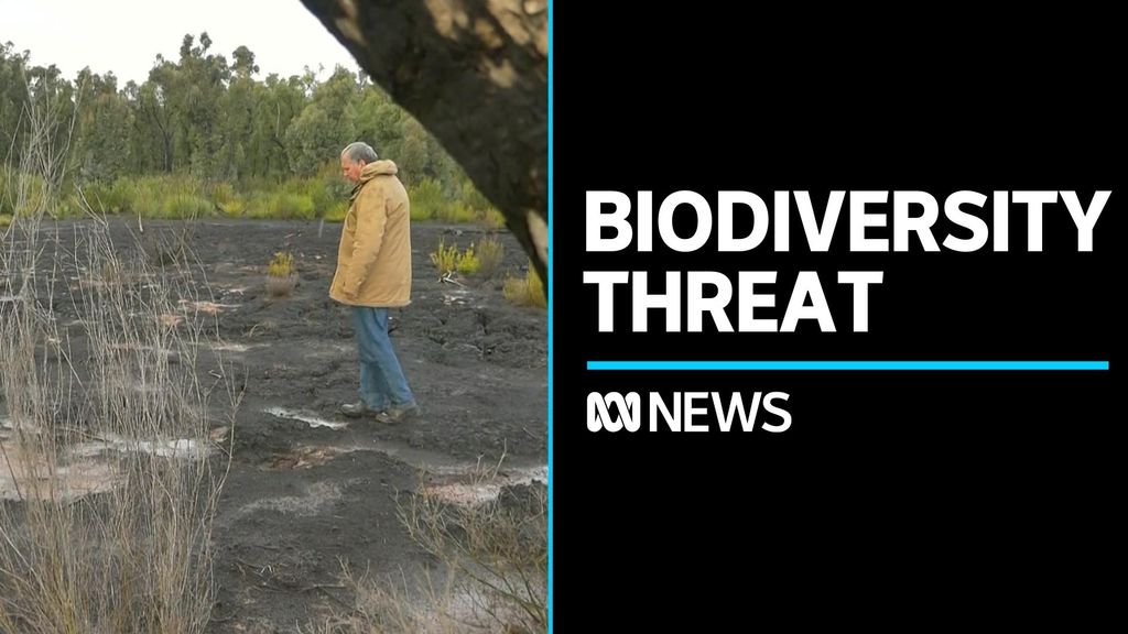 WA's prescribed burning program 'increasingly problematic' - ABC News