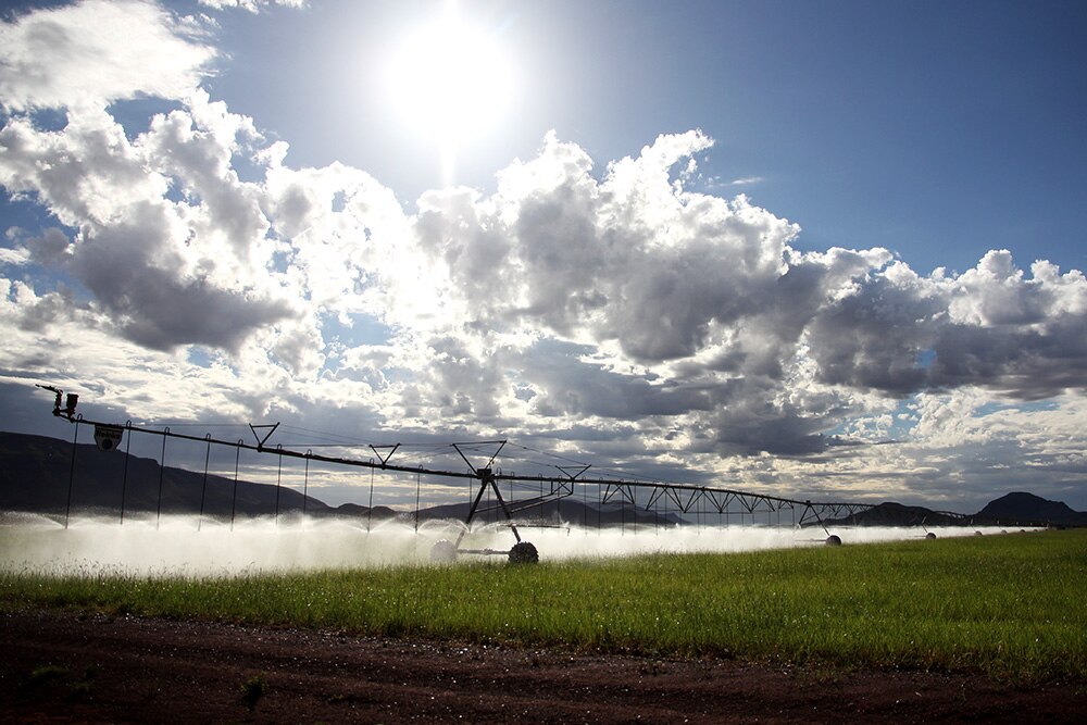 Mining fuelled agriculture project grows hay - ABC News